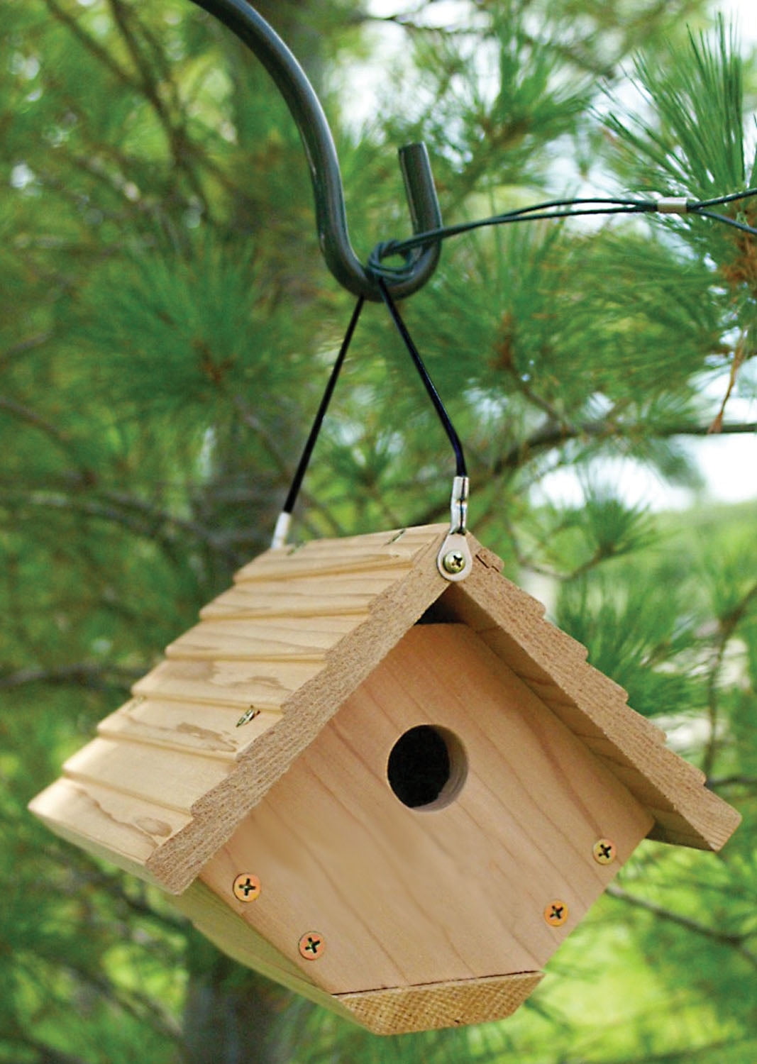 Woodlink Audubon Traditional Wren House - Walmart.com