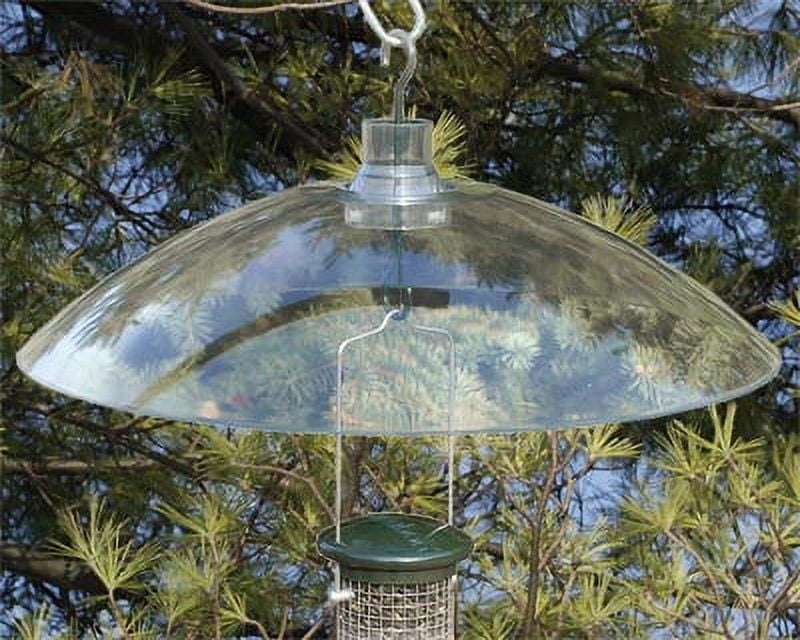 Woodlink Clear Plastic Bird Feeder Guard, Weather Shield & Squirrel ...