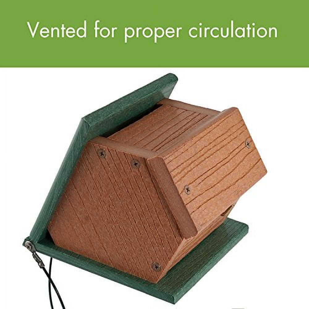Woodlink Going Green Wren House Model GGWREN Brown and Green, 8.25 ...
