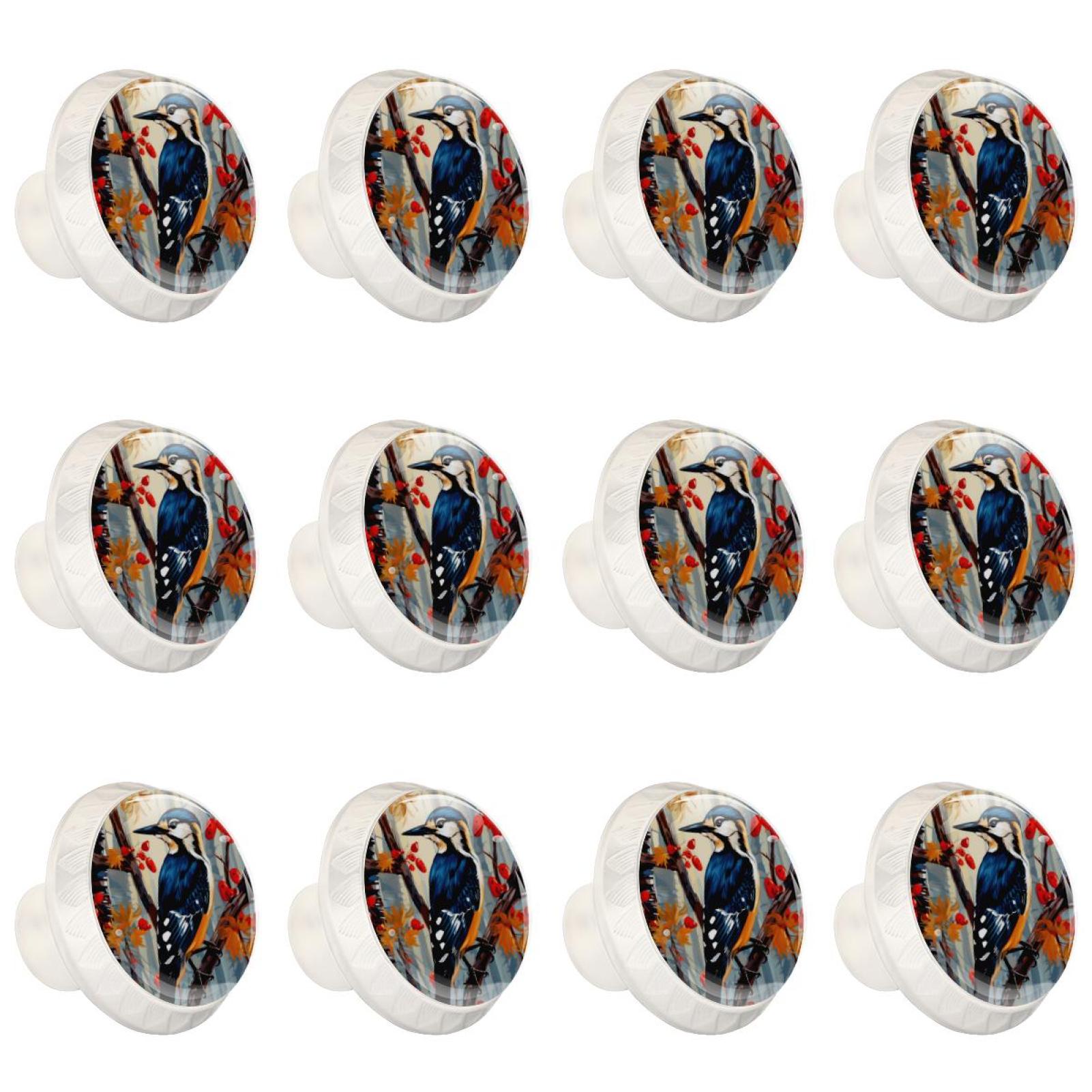 Woodpecker 12 Pcs White Round Drawer Pulls with Screws,ABS and Glass ...