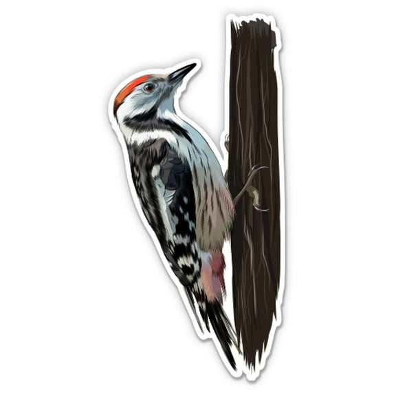Woodpecker - 8" Vinyl Sticker - For Car Laptop I-Pad - Waterproof Decal ...