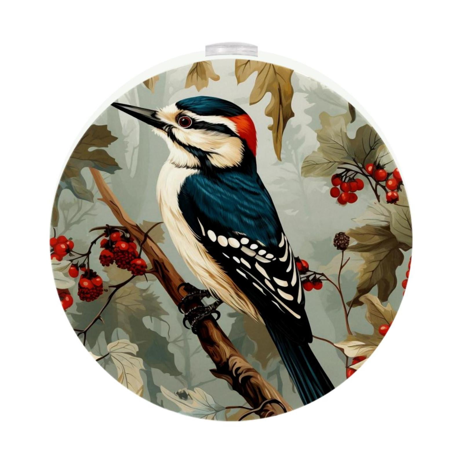 Woodpecker LED Round Night Light-2PCS, Energy-Efficient Plug-in Ambient ...