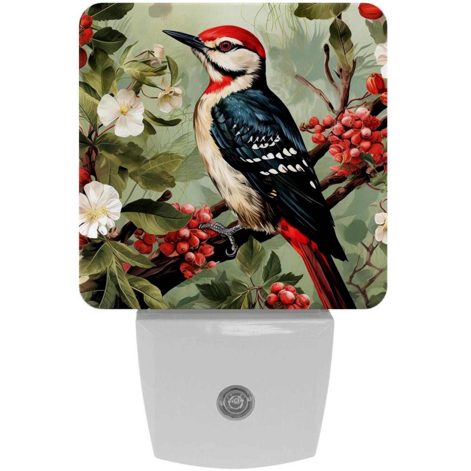 Woodpecker LED Square Night Lights - Elegant and Energy Efficient ...