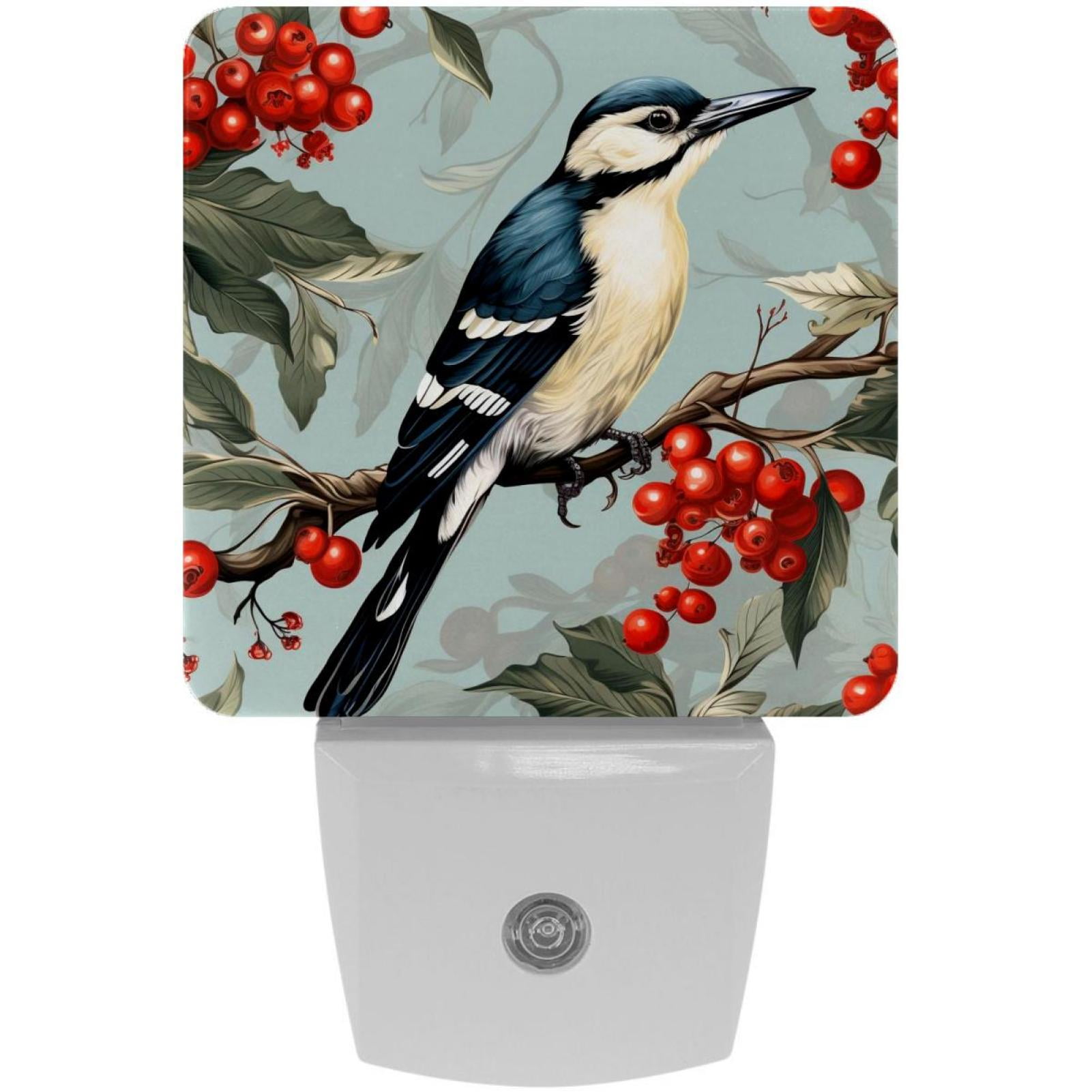 Woodpecker LED Square Night Lights - Energy Efficient and Contemporary ...
