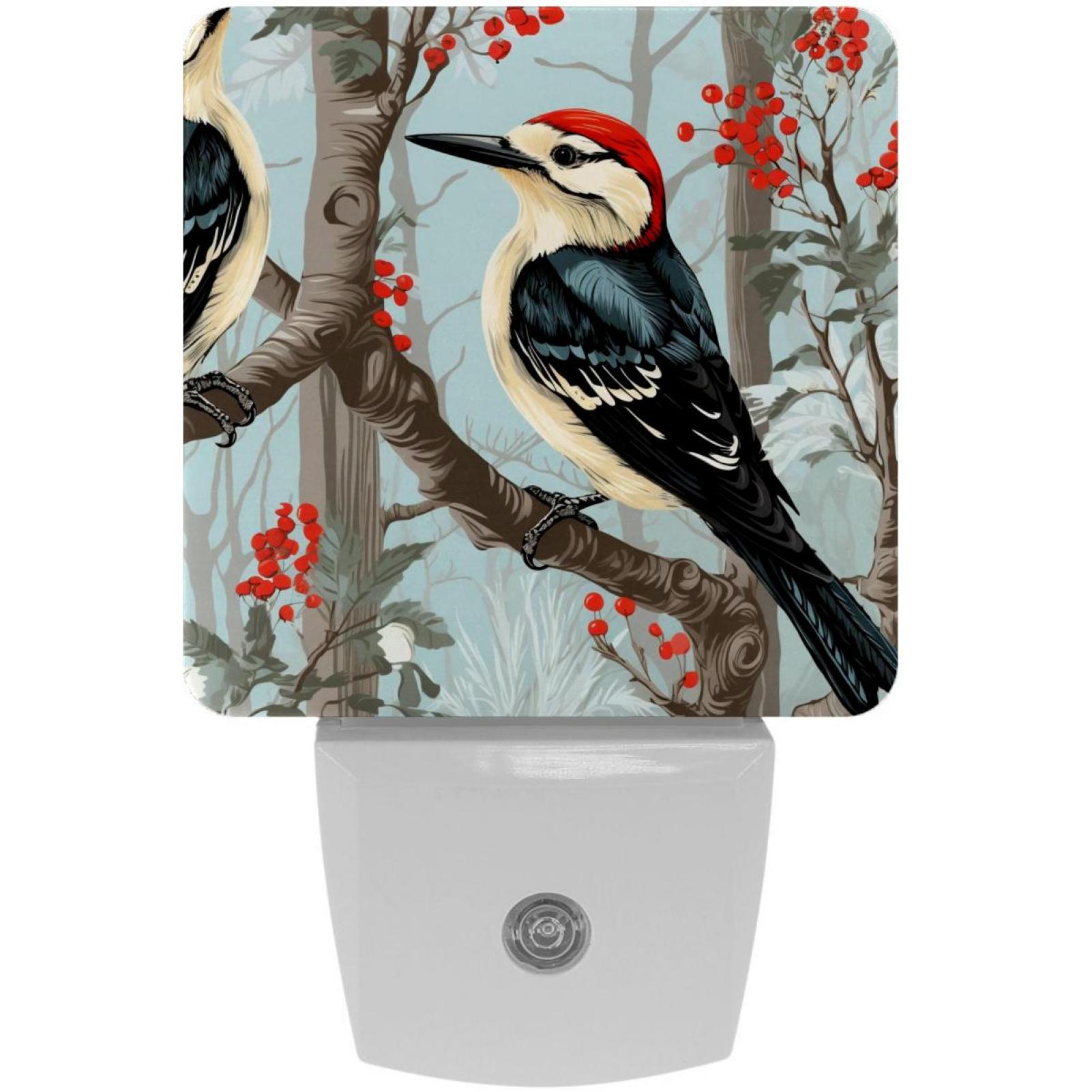 Woodpecker LED Square Night Lights: Energy-Efficient and Stylish ...