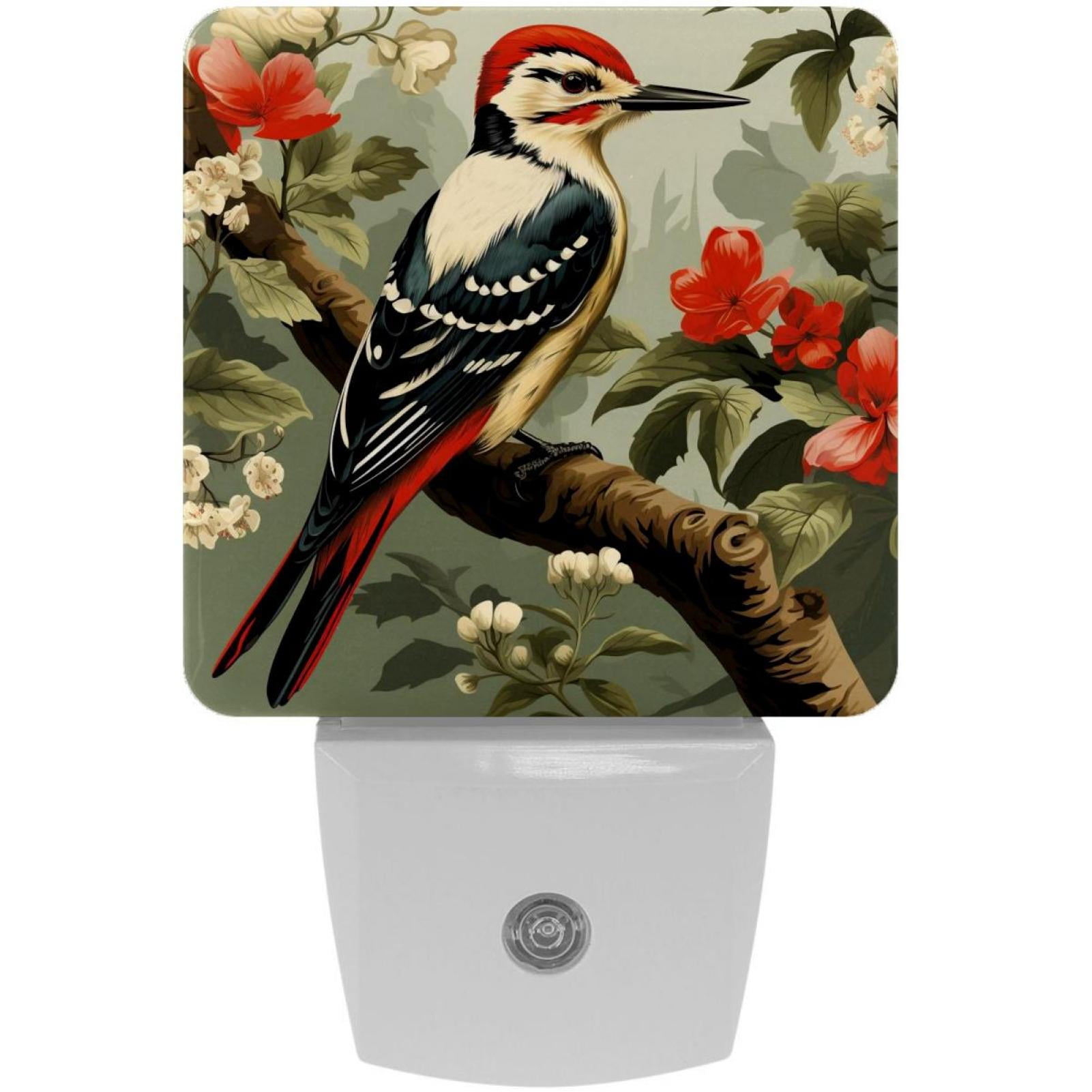 Woodpecker LED Square Night Lights - Energy Efficient and Stylish Room ...