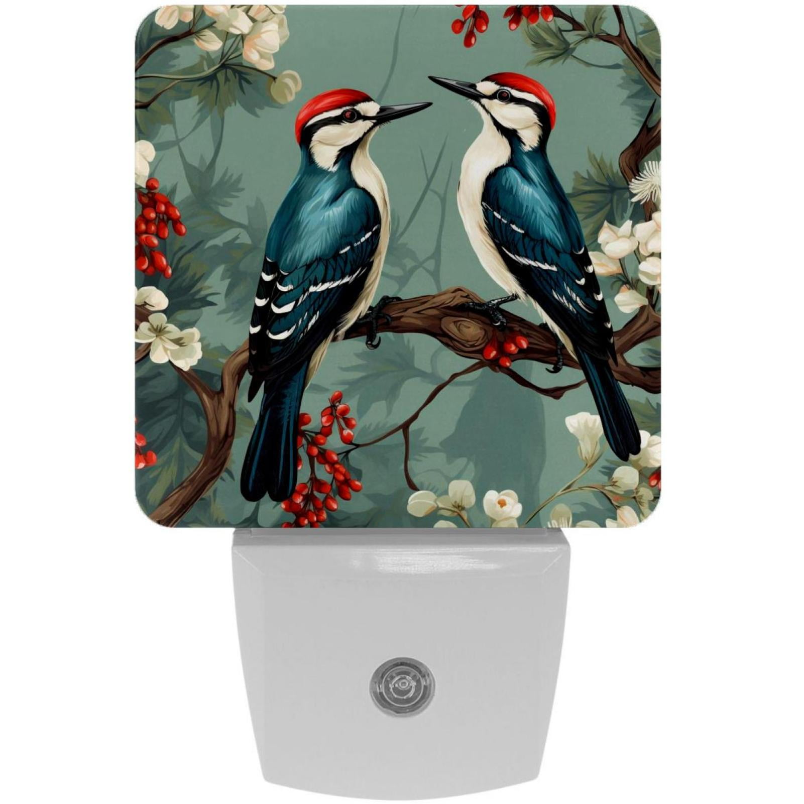 Woodpecker LED Square Night Lights- Modern and Energy Efficient Bedside ...