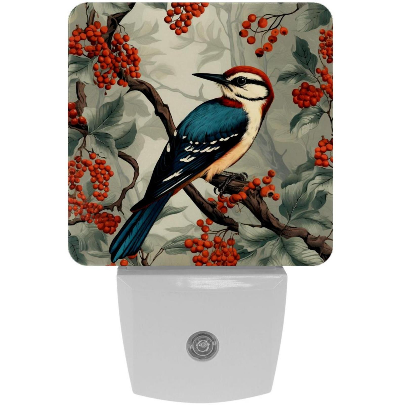 Woodpecker LED Square Night Lights - Stylish and Energy-Efficient ...