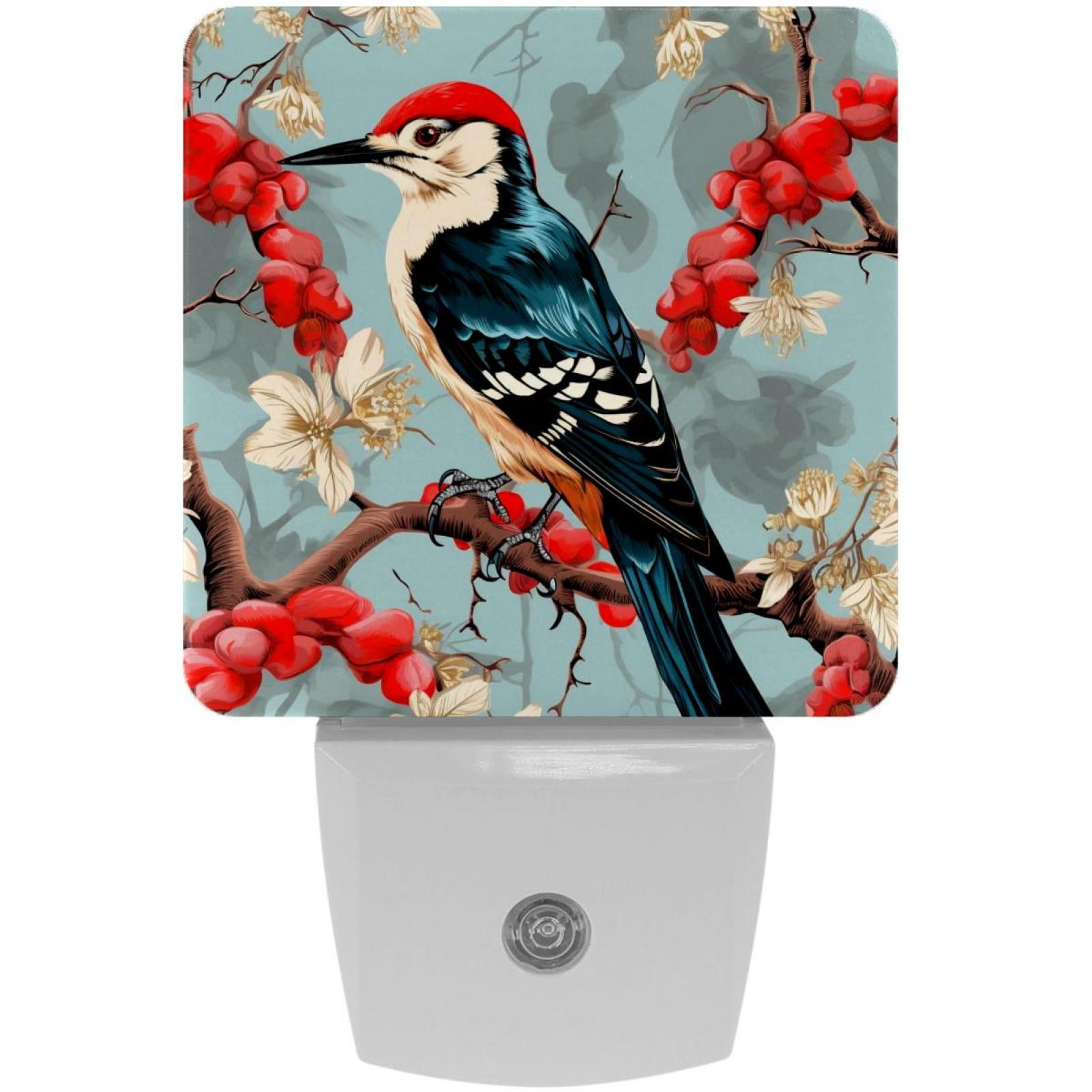 Woodpecker LED Square Night Lights - Stylish and Energy-Efficient ...