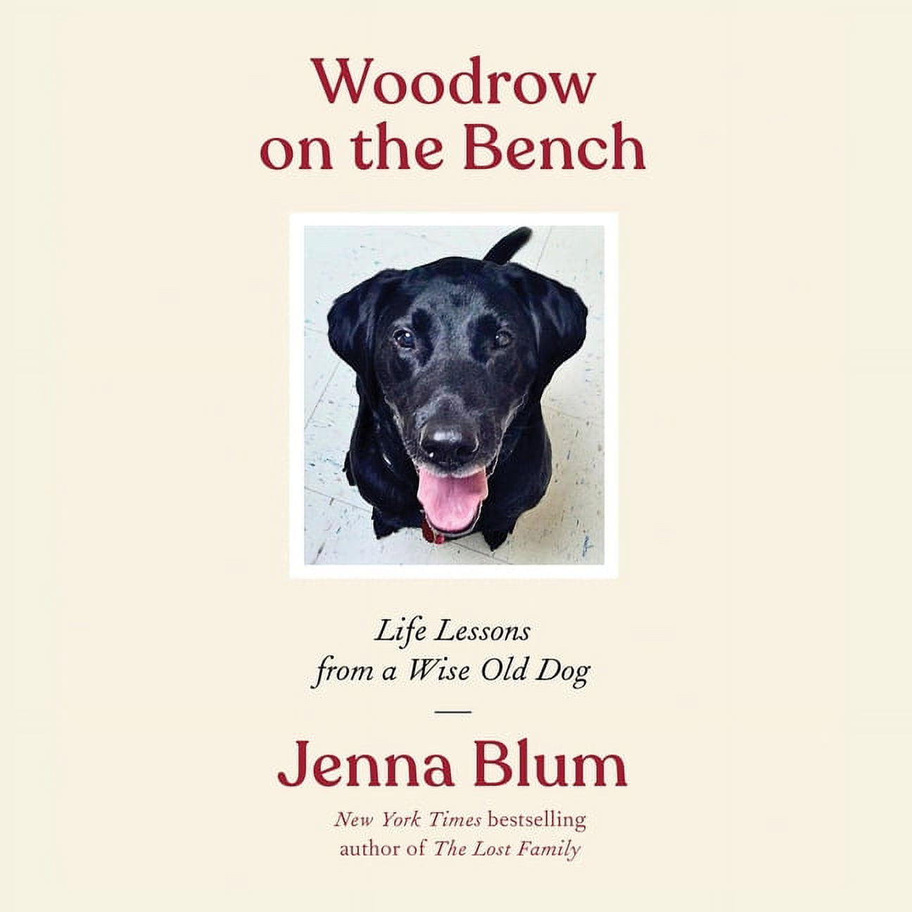 Woodrow on the Bench : Life Lessons from a Wise Old Dog - Walmart.com