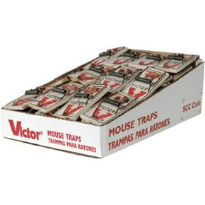 Victor Mouse Traps in Mouse - Walmart.com