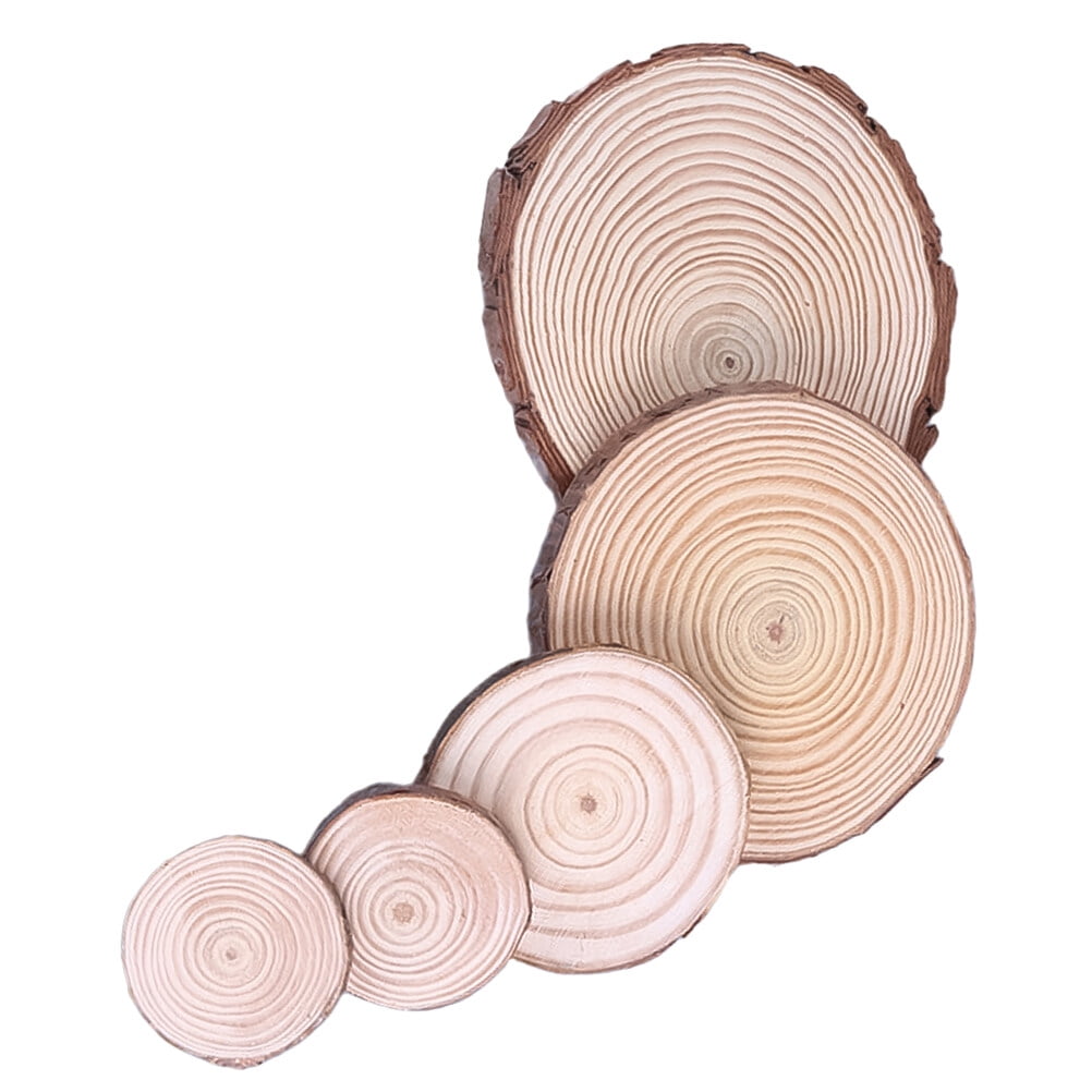 Woodsy Decor Pine Circular Photography Wooden Log Slices Natural Rustic ...