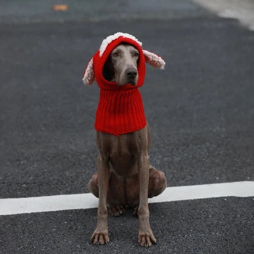 Wool Pet Hat Small-large Dog Hat Weimar Doberman Greyhound Hat Dogs ...