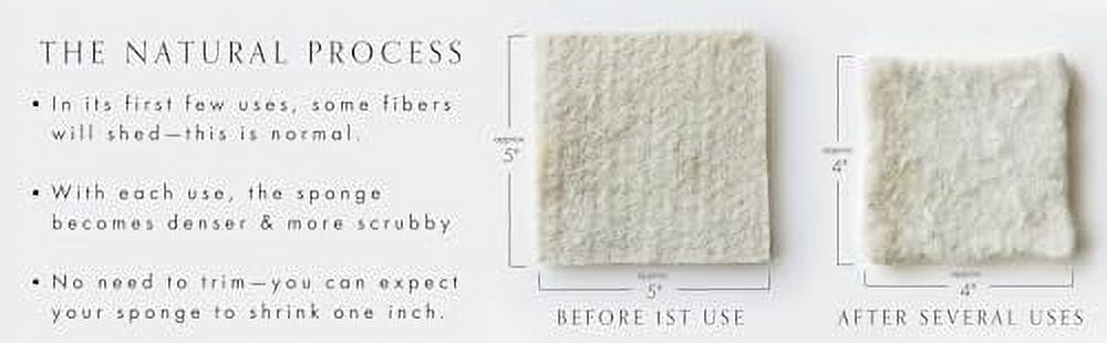 Wool Sponges 2-Pack - Environmentally Friendly, Long-lasting ...