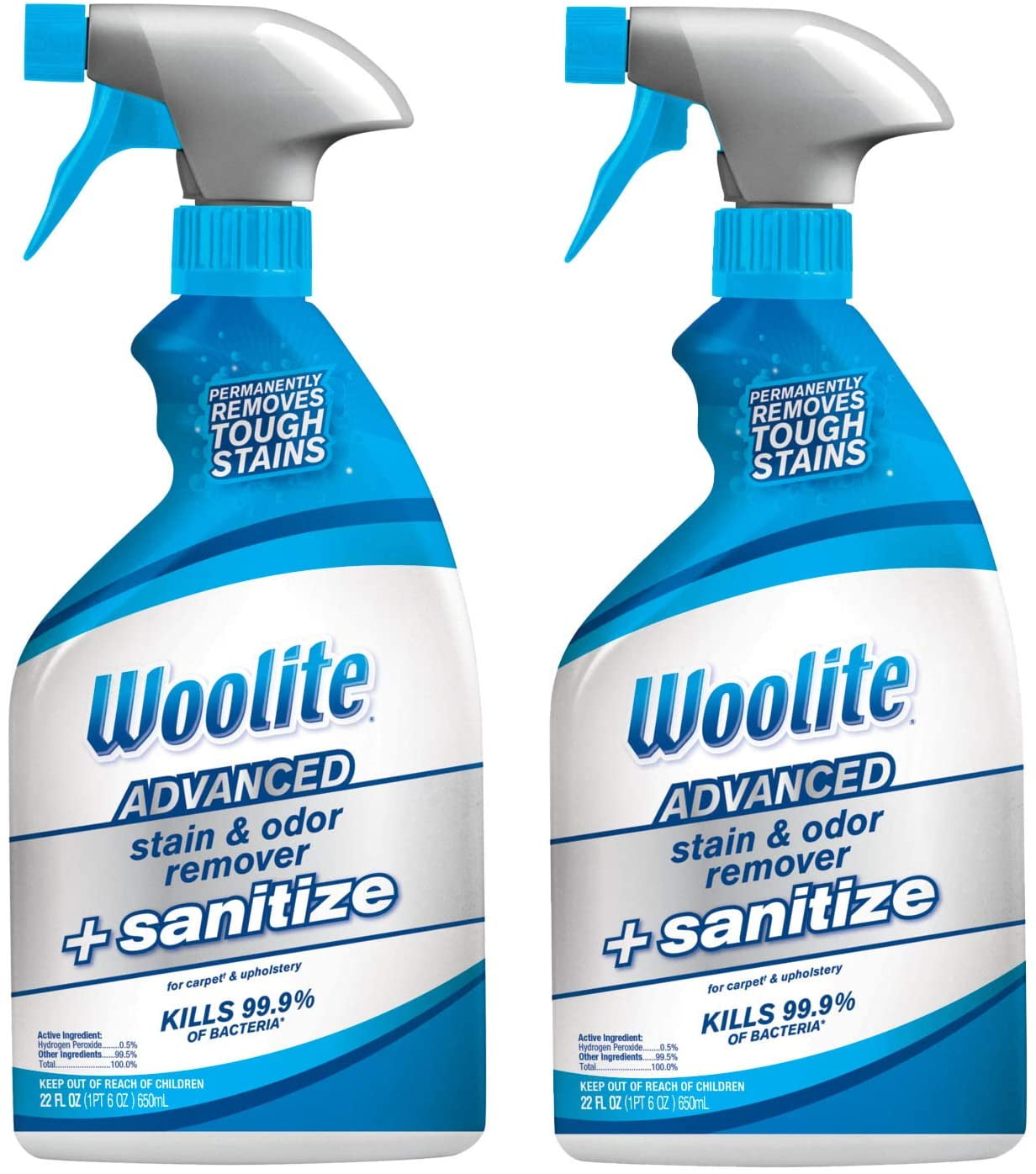 Woolite 12829 Pet Stain Odor Remover, 22 Fluid Ounce, 2 Count - Walmart.com