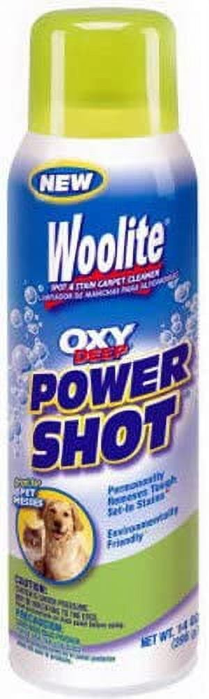 Woolite Oxy Deep Power Shot Carpet Spot & Stain Remover (8538 ...