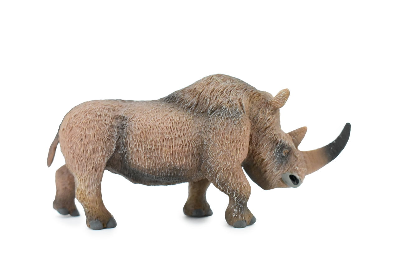 Woolly Rhino, Prehistoric Mammal, Dinosaur, Museum Quality, Hand ...