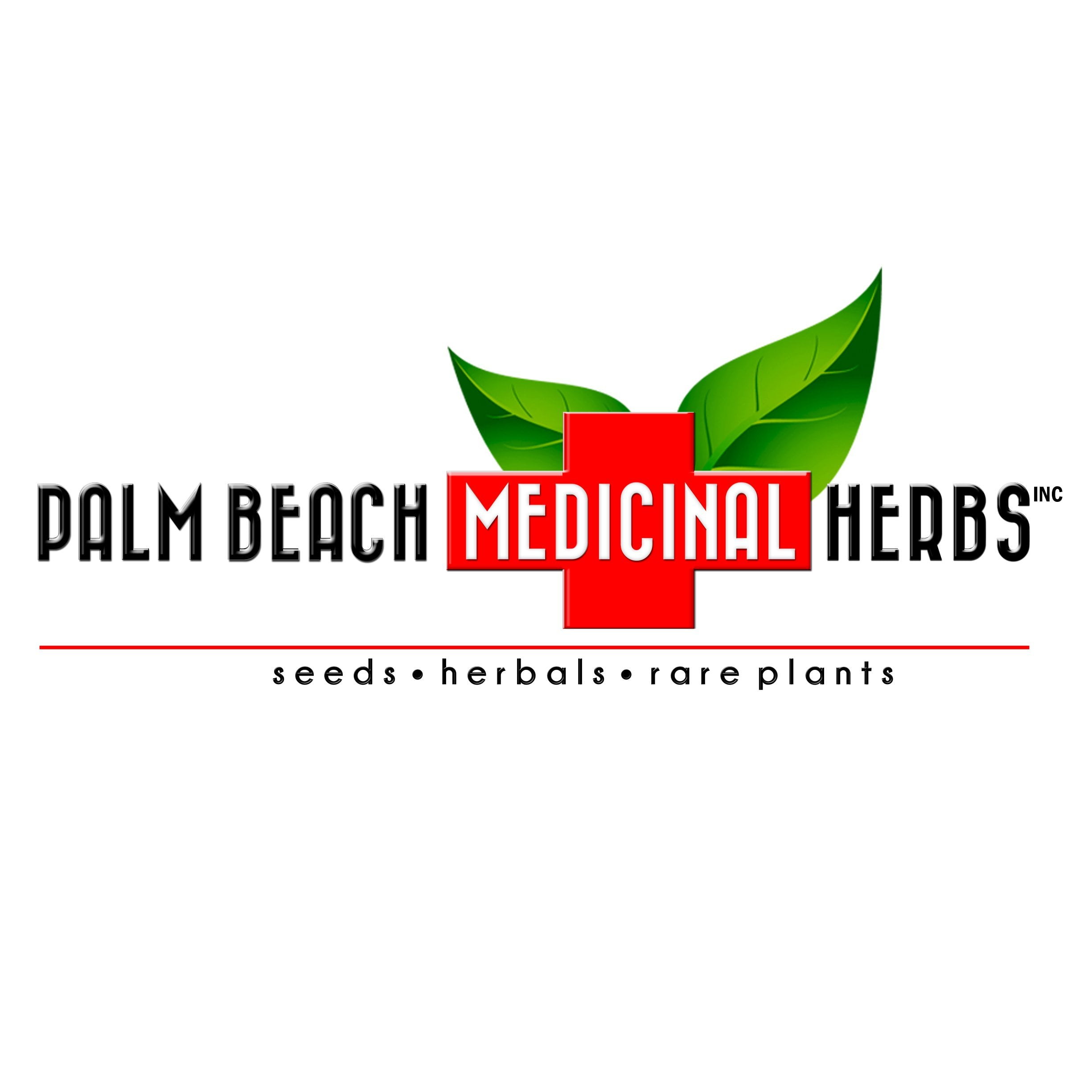 Wooly Jelly Palm Seeds (Butia eriospatha) Packet of 2 Seeds C21 ...