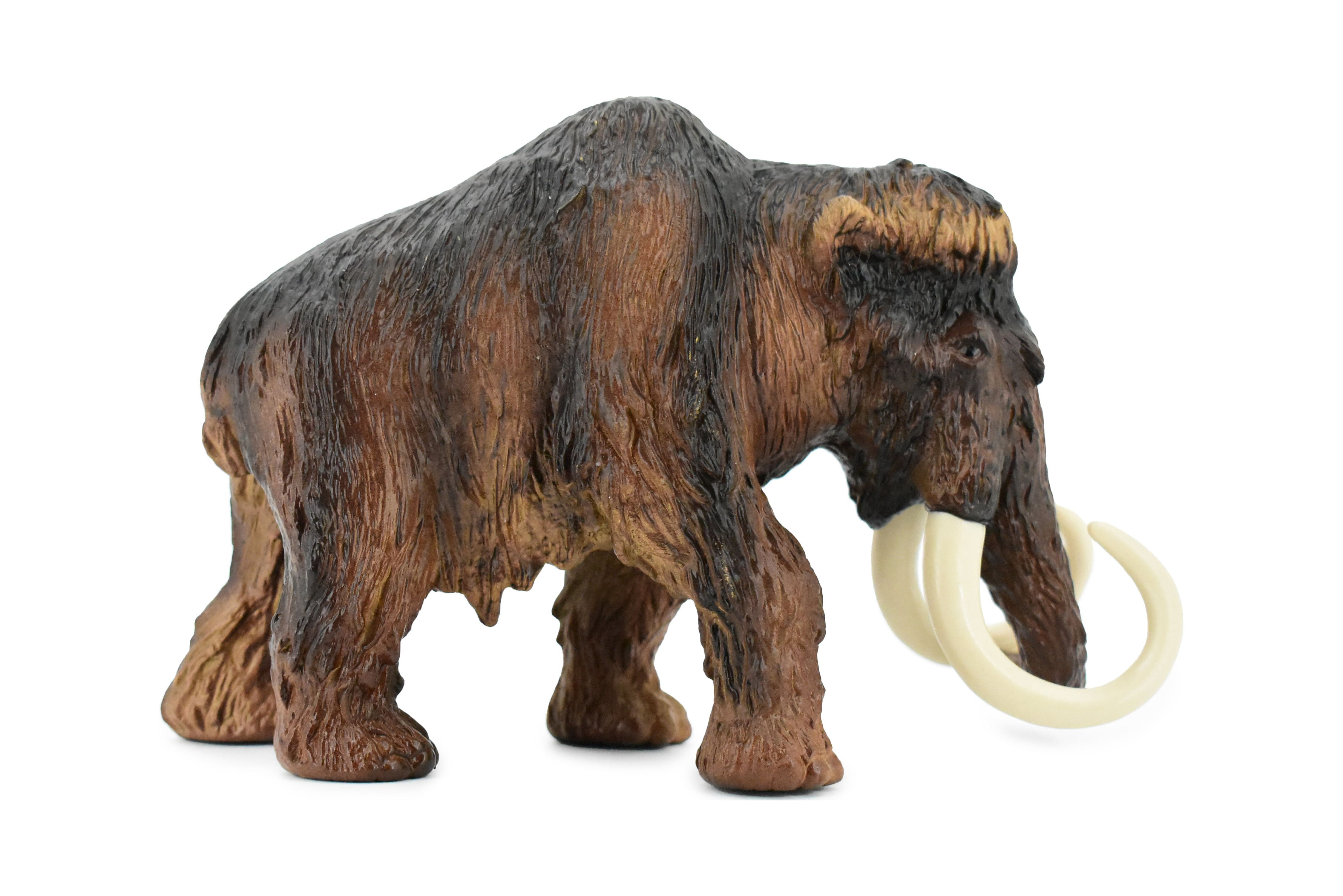 Wooly Mammoth, Prehistoric Mammal, Museum Quality, Hand Painted ...