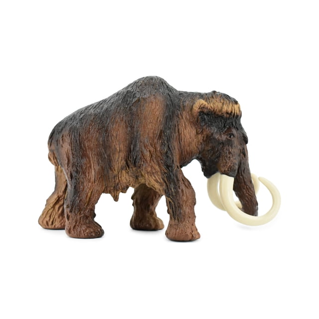 Wooly Mammoth, Prehistoric Mammal, Museum Quality, Hand Painted ...
