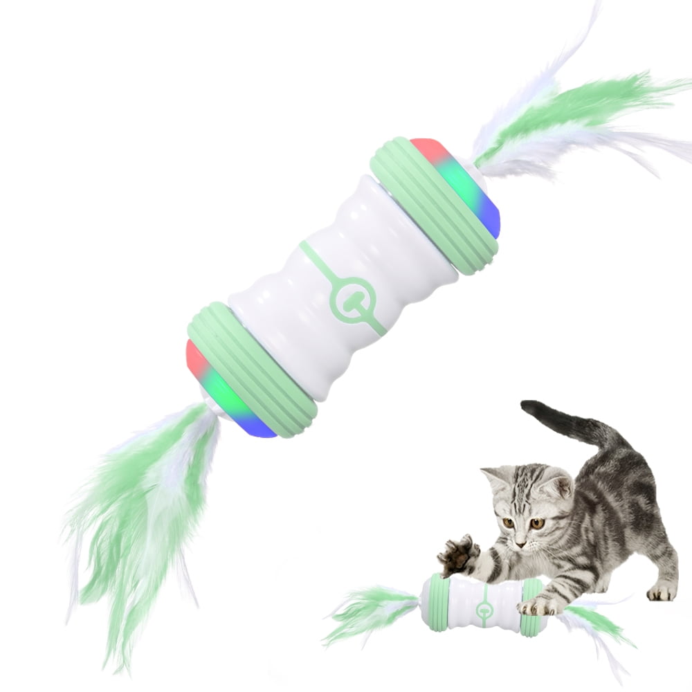 Worallymy Interactive Indoor Cat Feather Toy Electric Robotic Cat Toy ...