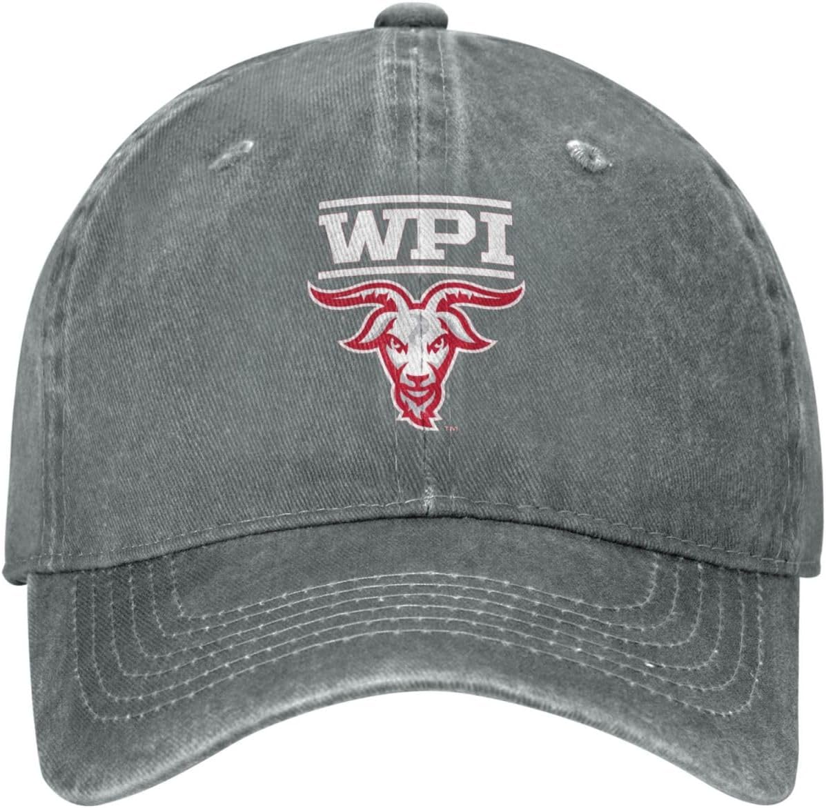 Worcester Polytechnic Institute Logo Hat Adult Adjustable Classic ...
