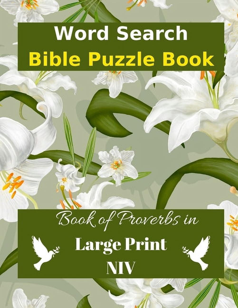 Word Search Bible Puzzle: Book of Proverbs Book in Large Print ...