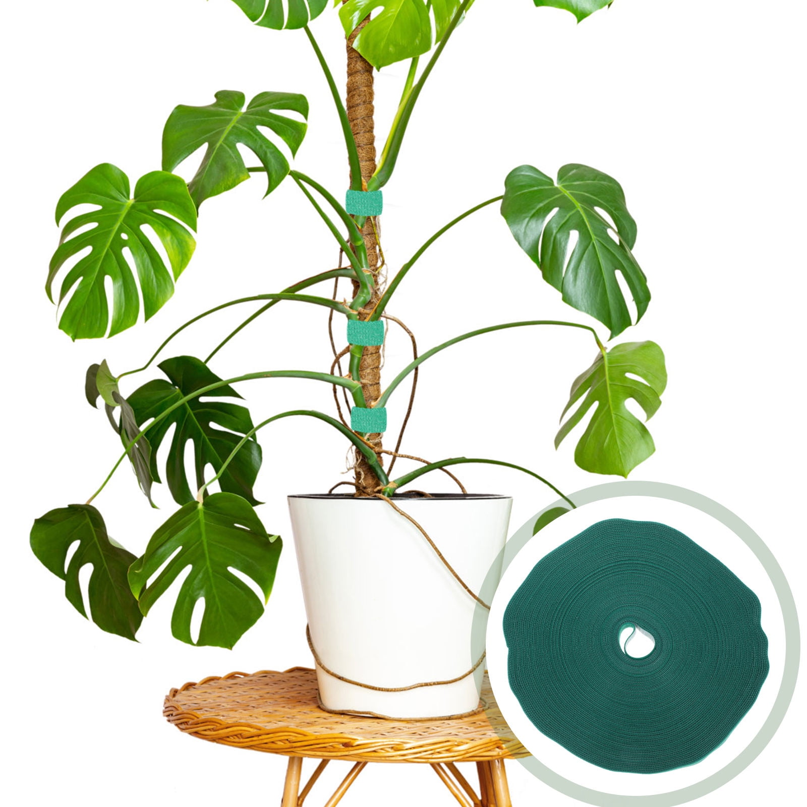 Worgeous 1 Roll Gardening Tying Tree Tapes Garden Rattan Plant Tomato ...
