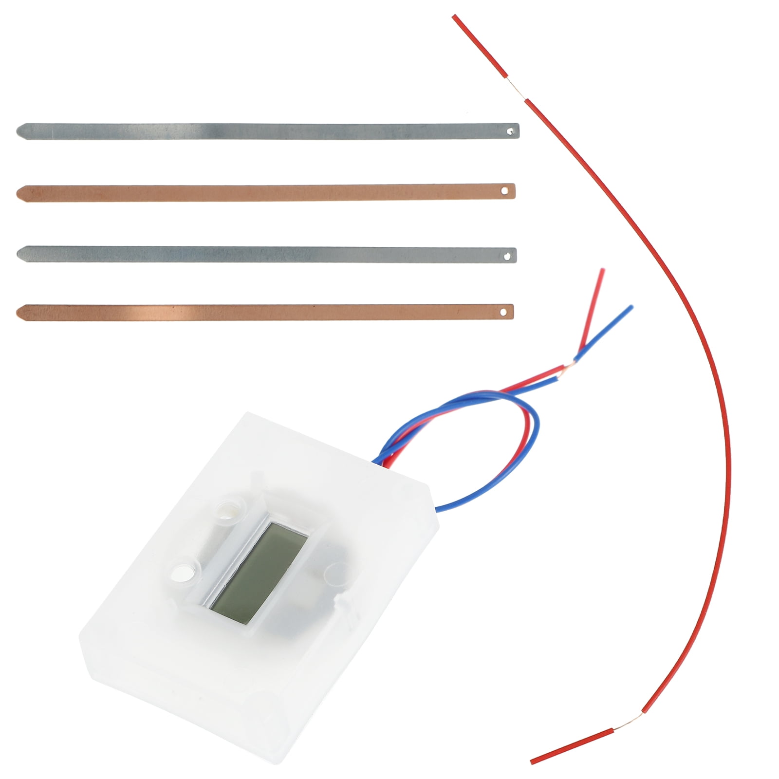 Worgeous 1 Set DIY Fruit Battery Science Experiment Educational Fruit ...
