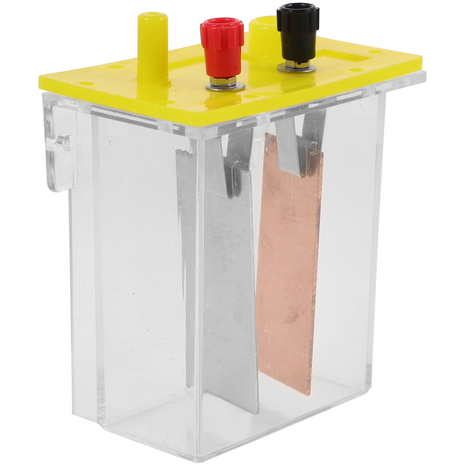 Worgeous 1 Set Fruit Battery Experiment Kit Physics Experiment Kit ...