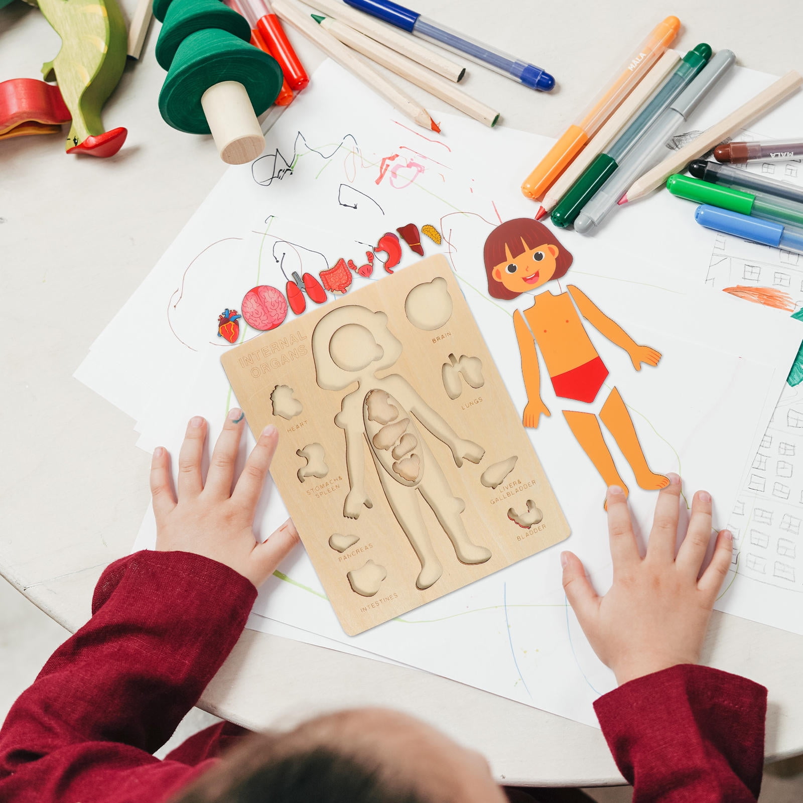 Worgeous 1 Set Human Body Puzzle Toy Kids Wooden Body Organs Puzzle Toy ...