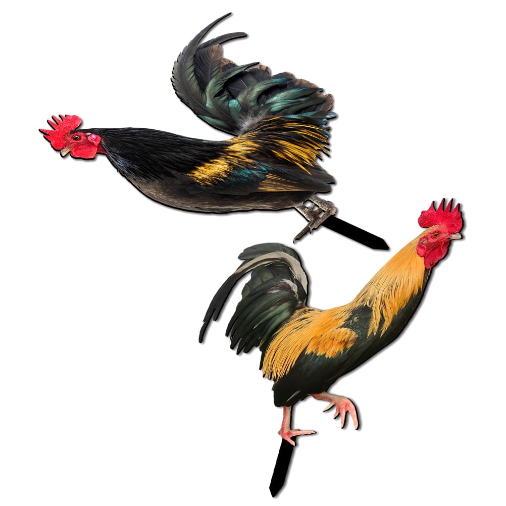 Worgeous 1 Set of Yard Rooster Stake Decor Ground Inserted Hen Decor ...