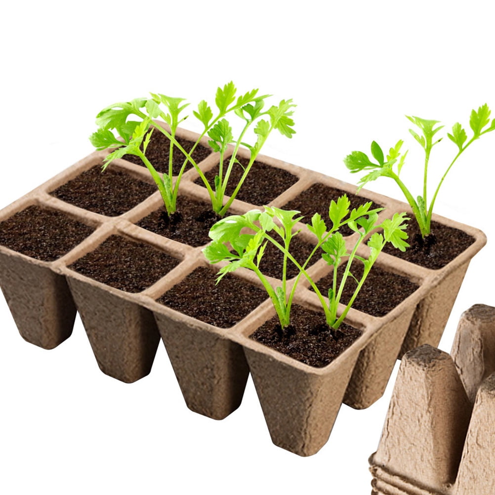 Worgeous 10 Pack Biodegradable Plant Nursery Pots for Gardening Light ...