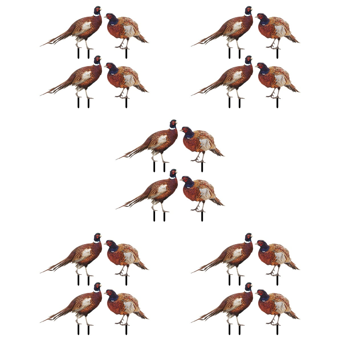 Worgeous 10 Sets of Pheasant Garden Stake Decoration Ground Insert ...