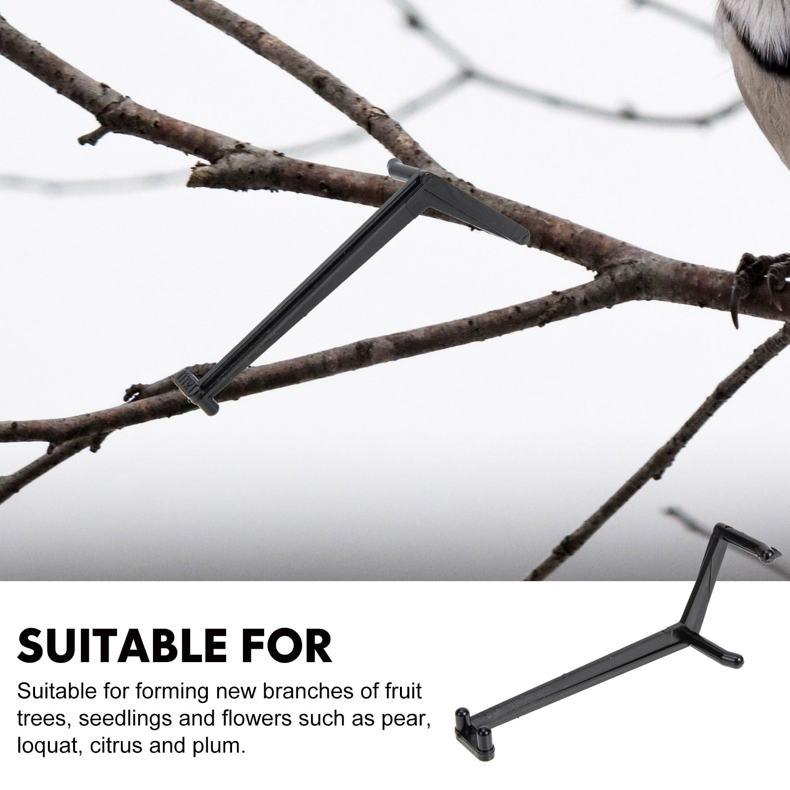 Worgeous 100 Pcs Fruit Tree Branch Puller Plant Bender Indoor Plants ...