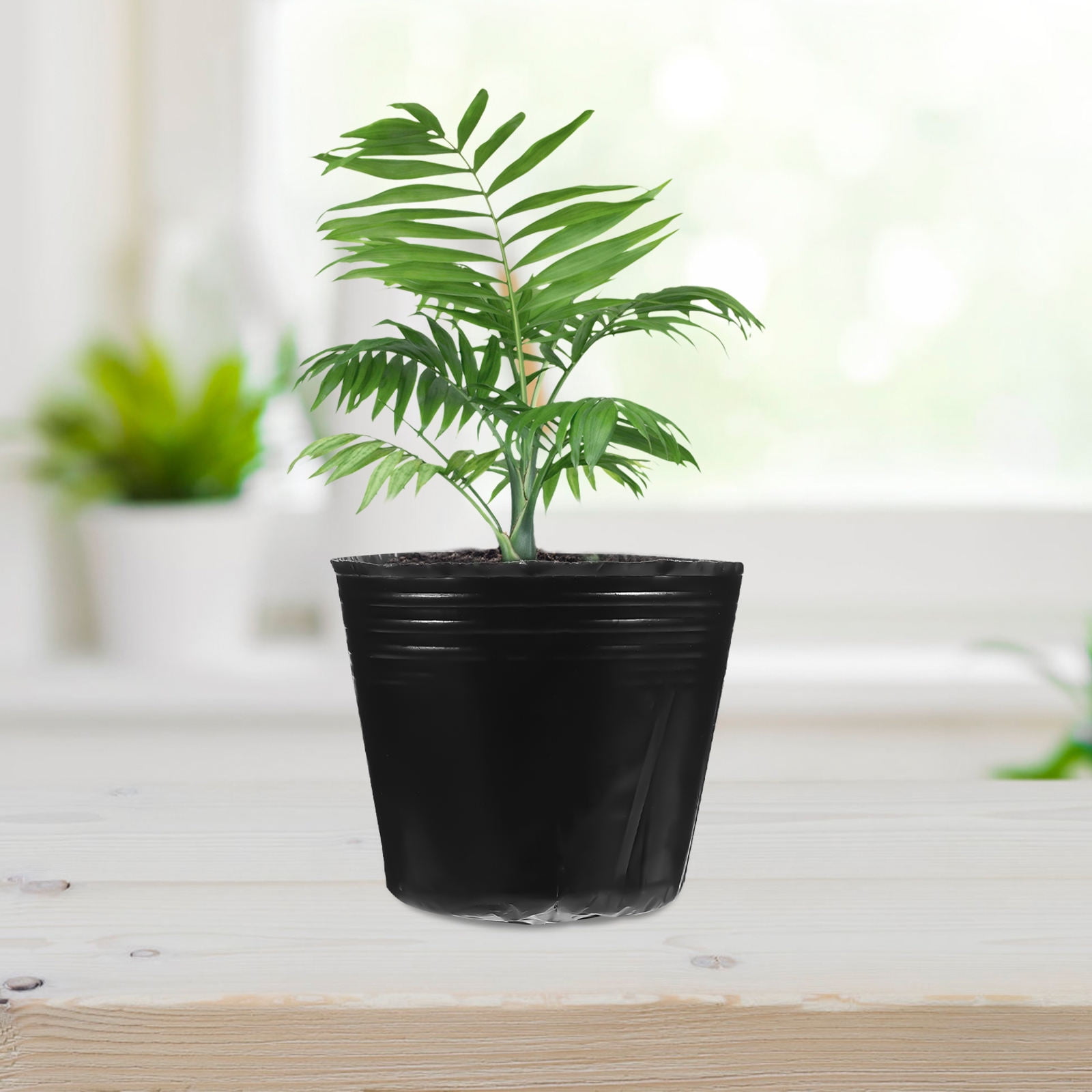 Worgeous 100 Pcs Seedling Bag Plant Cups Vegetables Seeding Plants ...