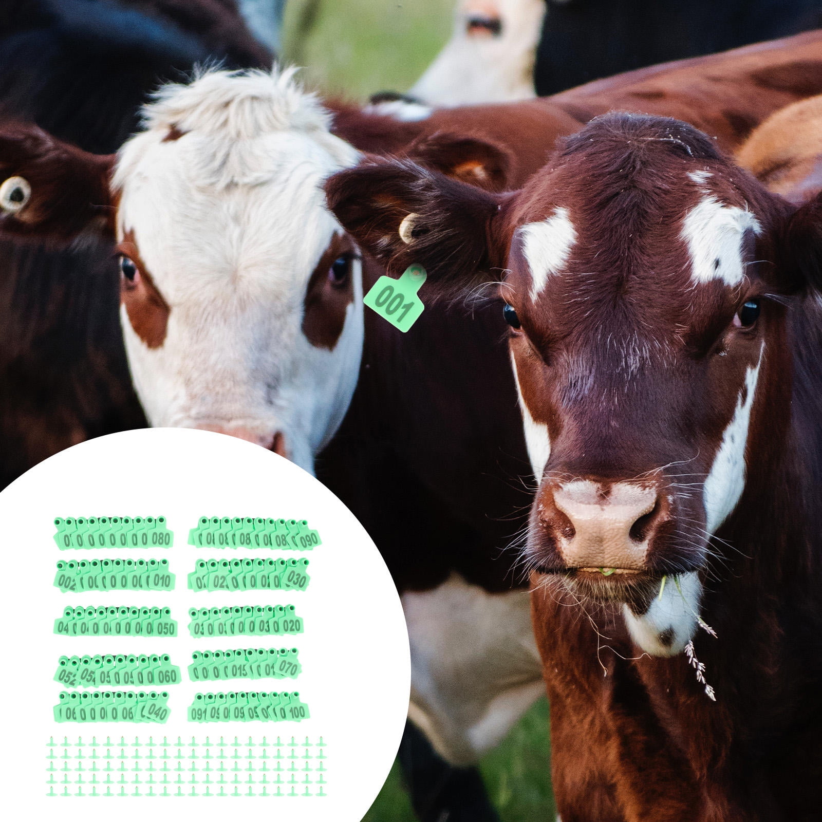 Worgeous 100pcs Animal Ear Tags Livestock Ear Tags with Number for Pigs ...