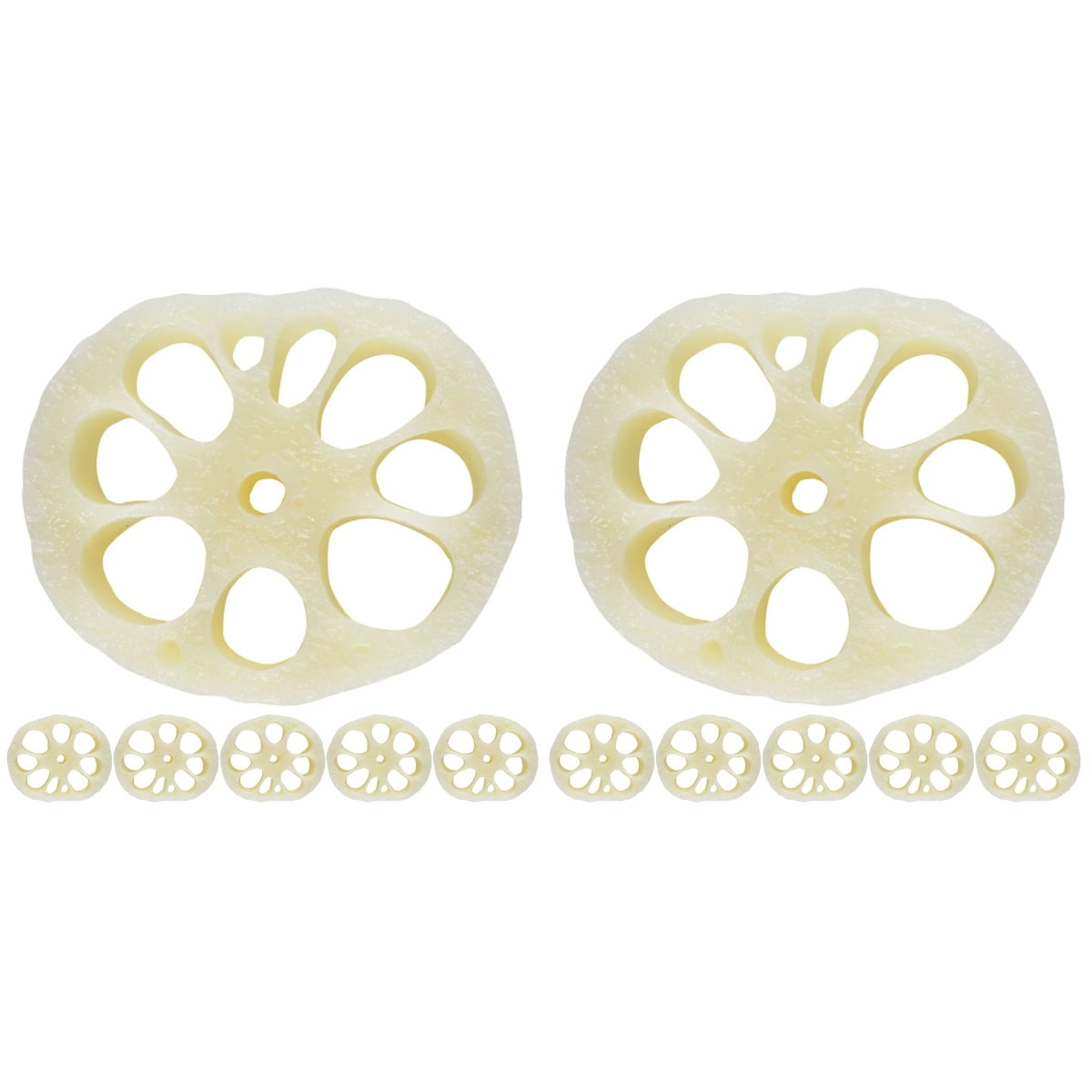 Worgeous 12 Pcs Decorative Miniature Lotus Root Slices DIY Lotus Root ...