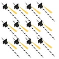 Worgeous 12pcs Graduation Season Graduation Cap Straw Graduation Party ...