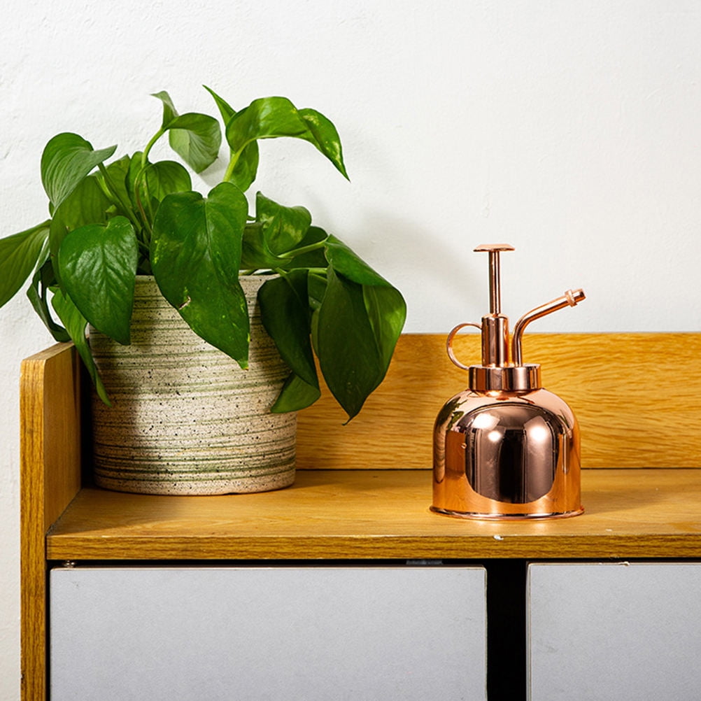 RENACLIPY Compact Design Golden Watering Can Renaclipy Stainless Steel ...