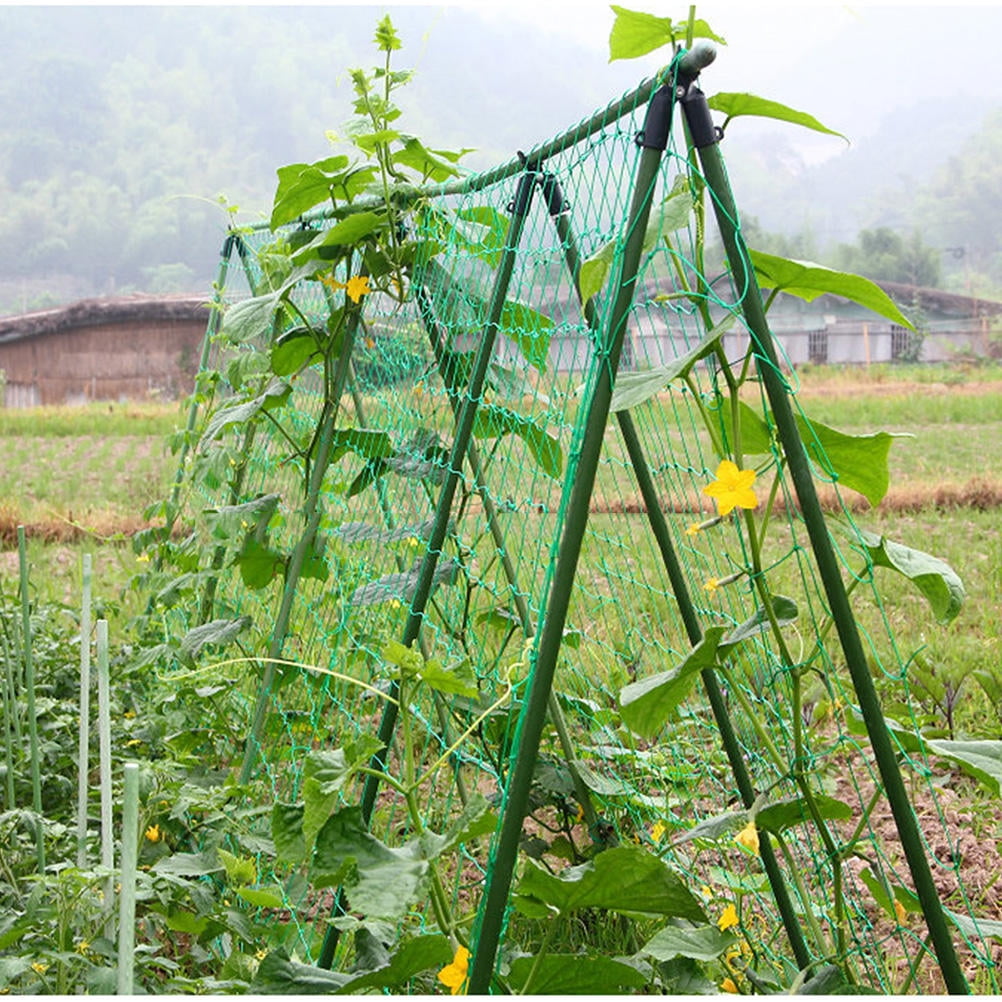Worgeous 2 Pcs Trellis for Climbing Plants Outdoor Grape Vine Netting ...