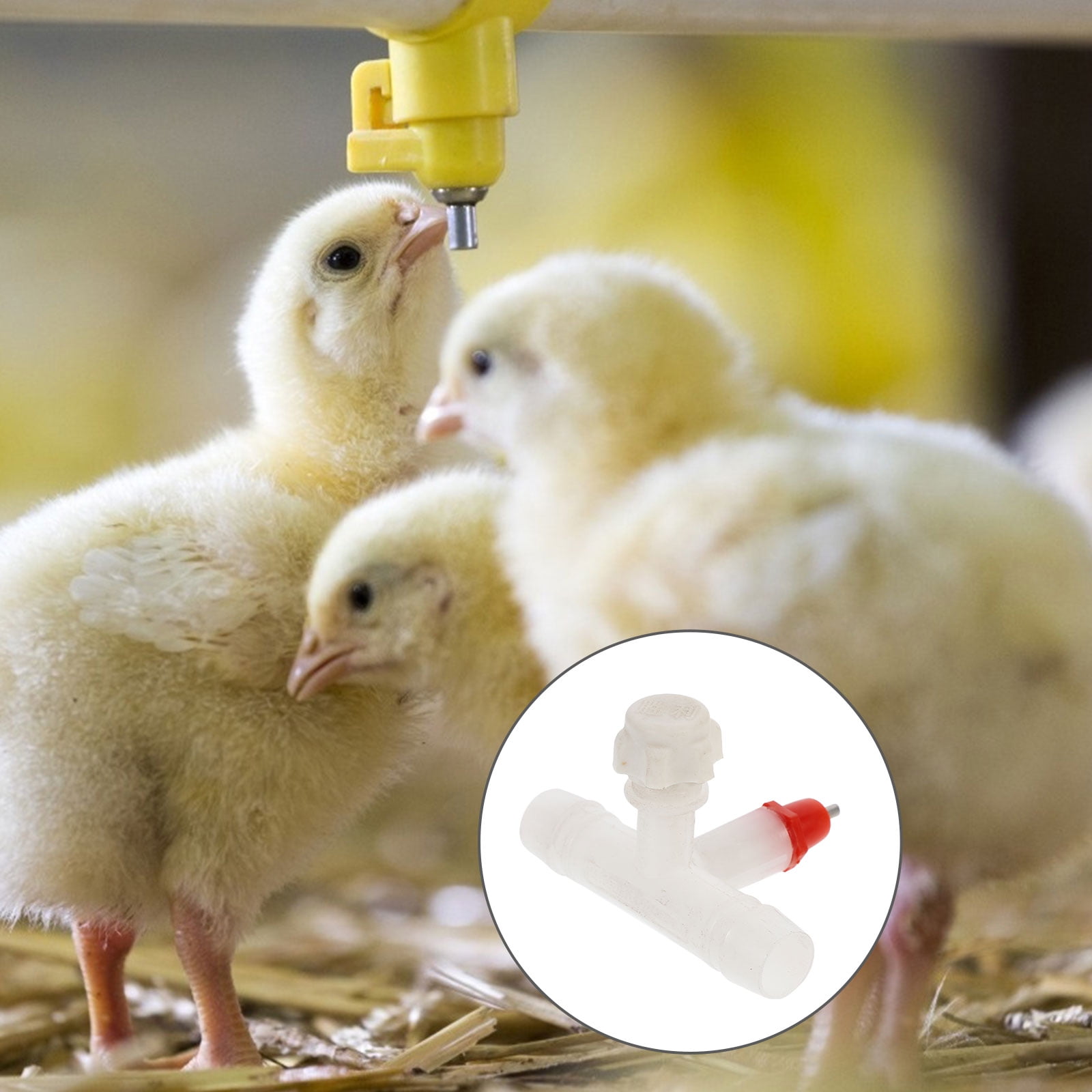 Worgeous 20 Sets Poultry Waterer Nipples Poultry Hen Water Drink Feeder ...