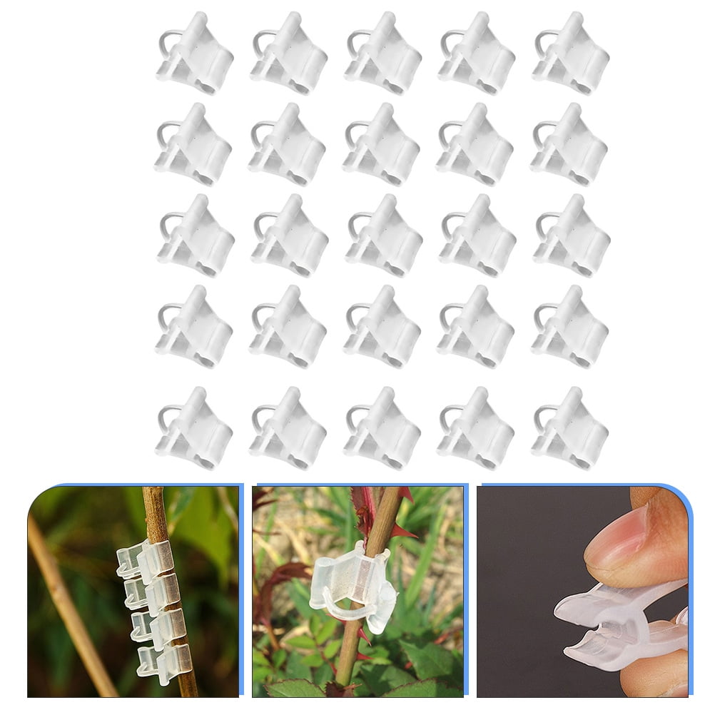 Worgeous 200 Pcs Plant Clip Plants Support Gardening Trellis Clips ...