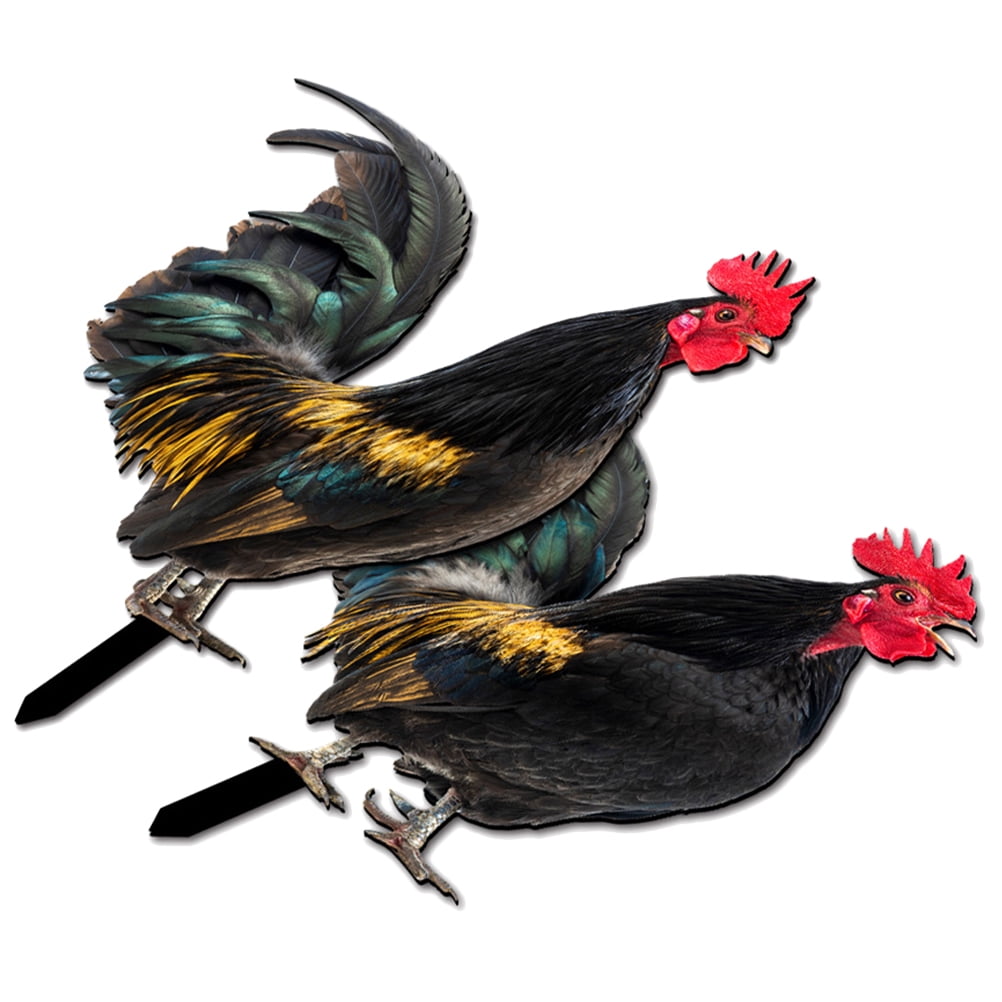 Worgeous 2Pcs Garden Chicken Stake Art Acrylic Rooster Yard Arts ...