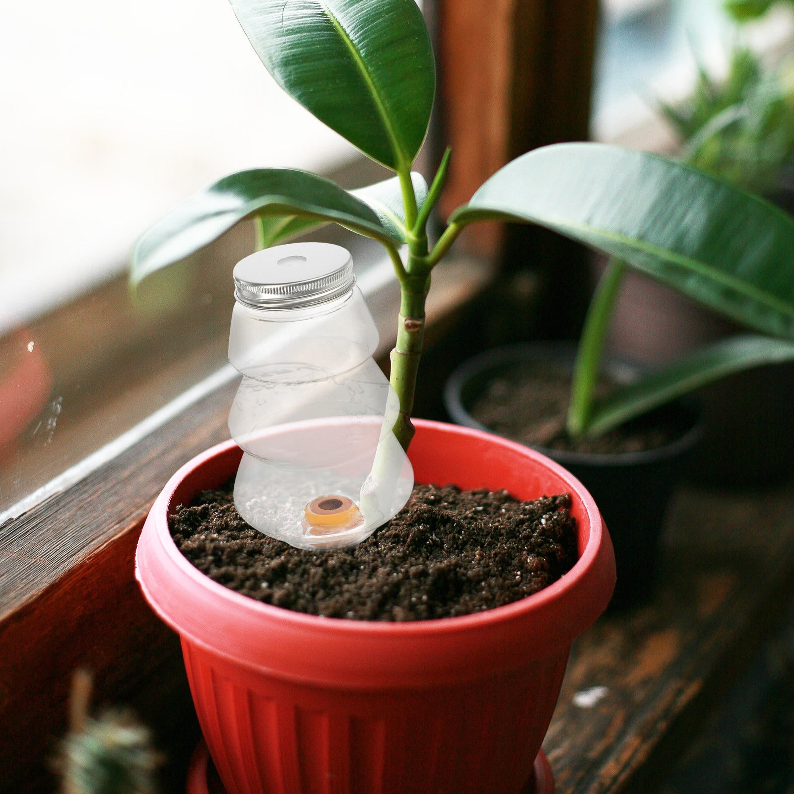 Worgeous 2Pcs Plastic Self Watering Planter Insert Devices for ...