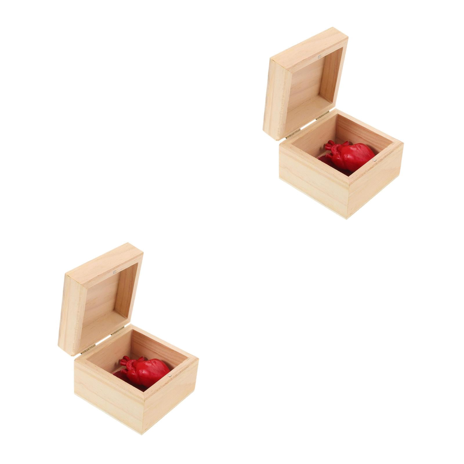Worgeous 2pcs Bloody Heart Halloween Prop in Wooden Box Anatomical ...