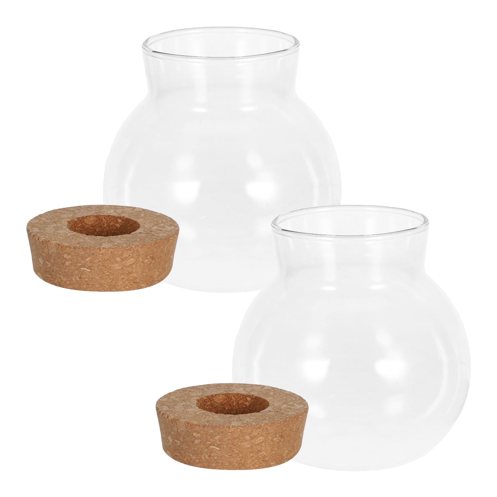 Worgeous 2pcs Glass Hydroponic Vases Terrarium Containers For Small ...