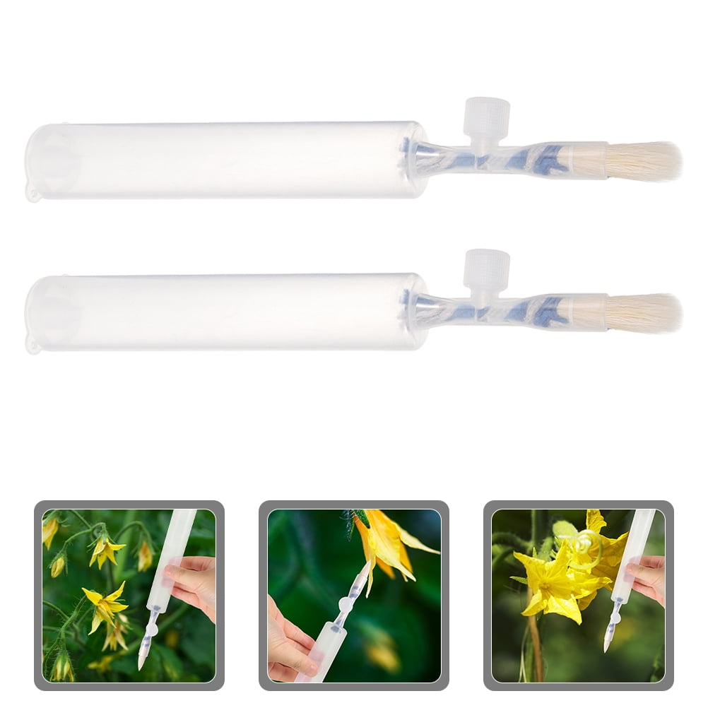 Worgeous 2pcs Hand Pollination Tool Tomato Pollinator Brush Manual ...