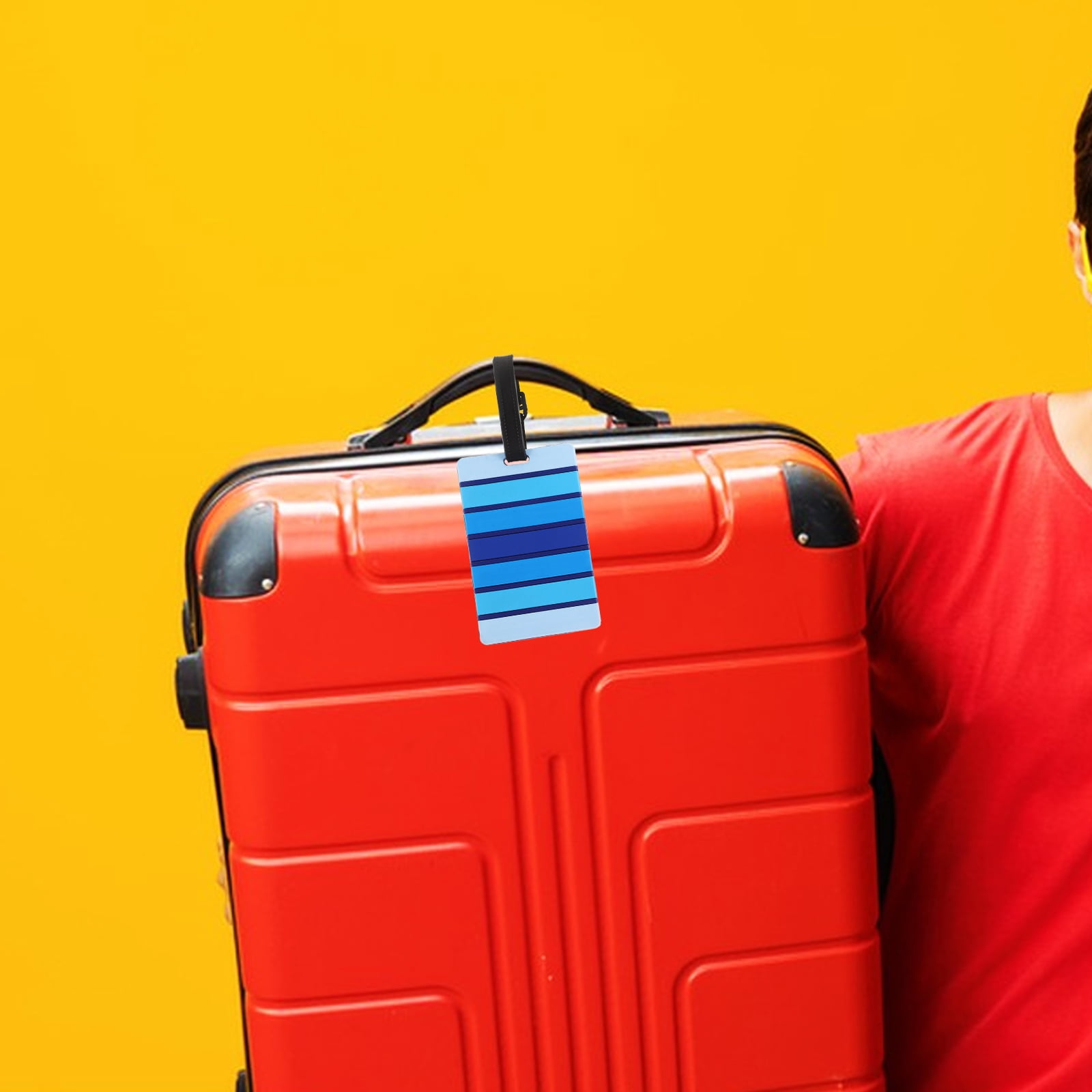 Worgeous 2pcs Luggage Tag Card Holders Suitcases Baggage Bag Tag ...