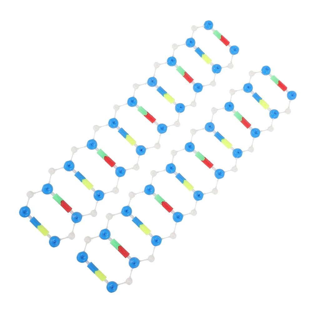 Worgeous 2pcs Molecular Model Kit Dna Model Double Helix Structure ...